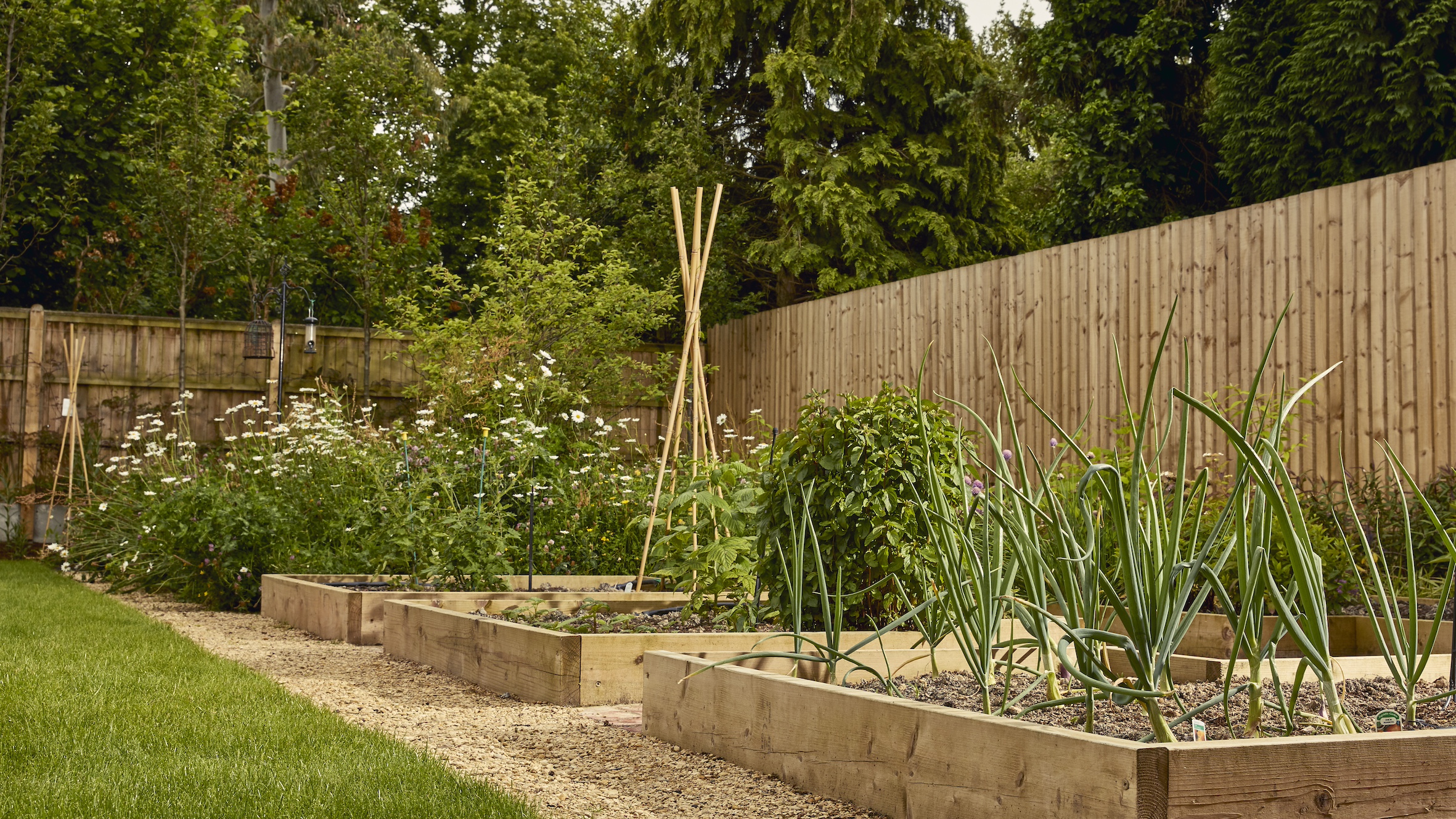 Sustainable Garden Design: Plot a Vegetable Patch in your Garden ...
